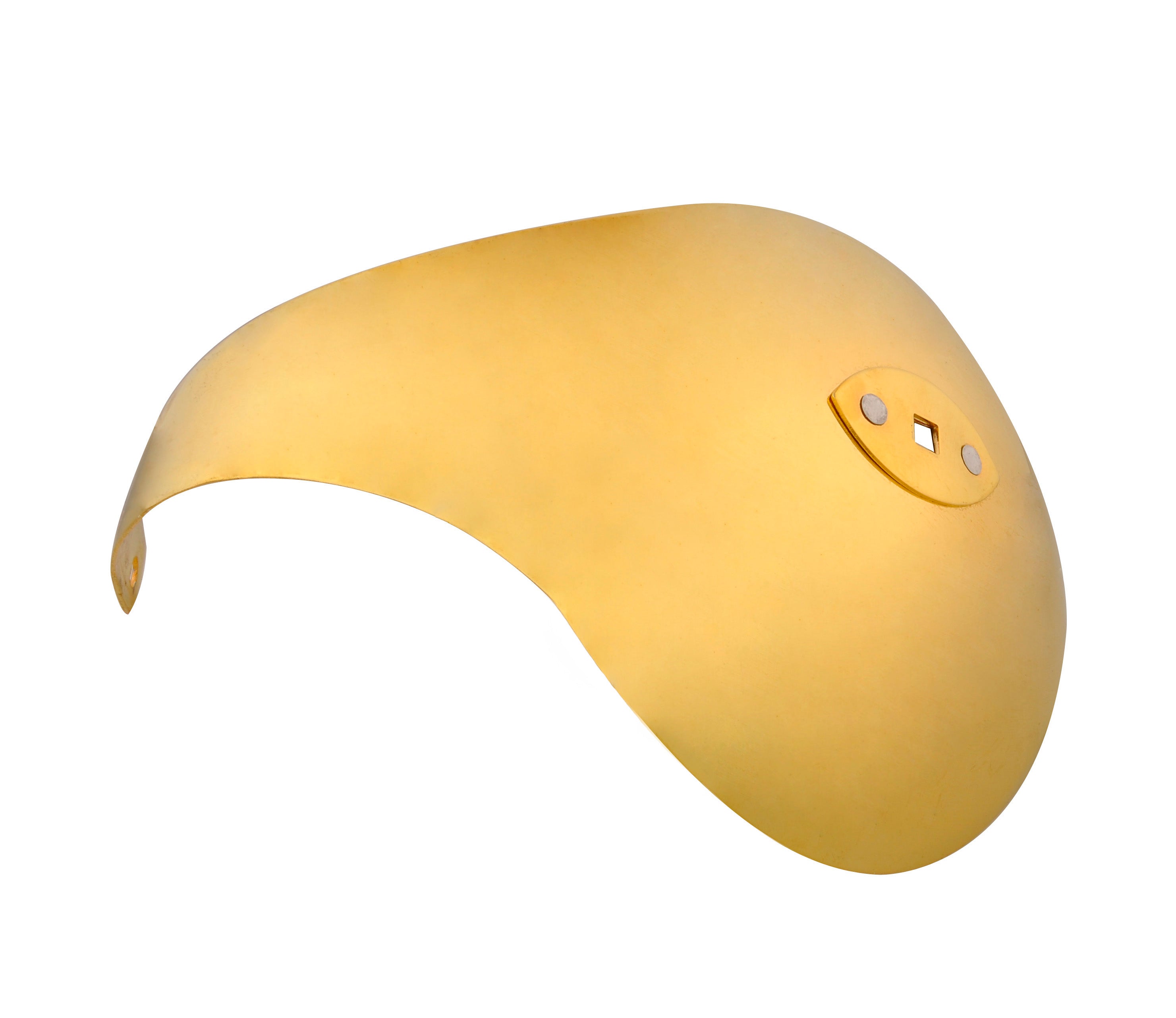 Sabre Guard – Excalibur Sports